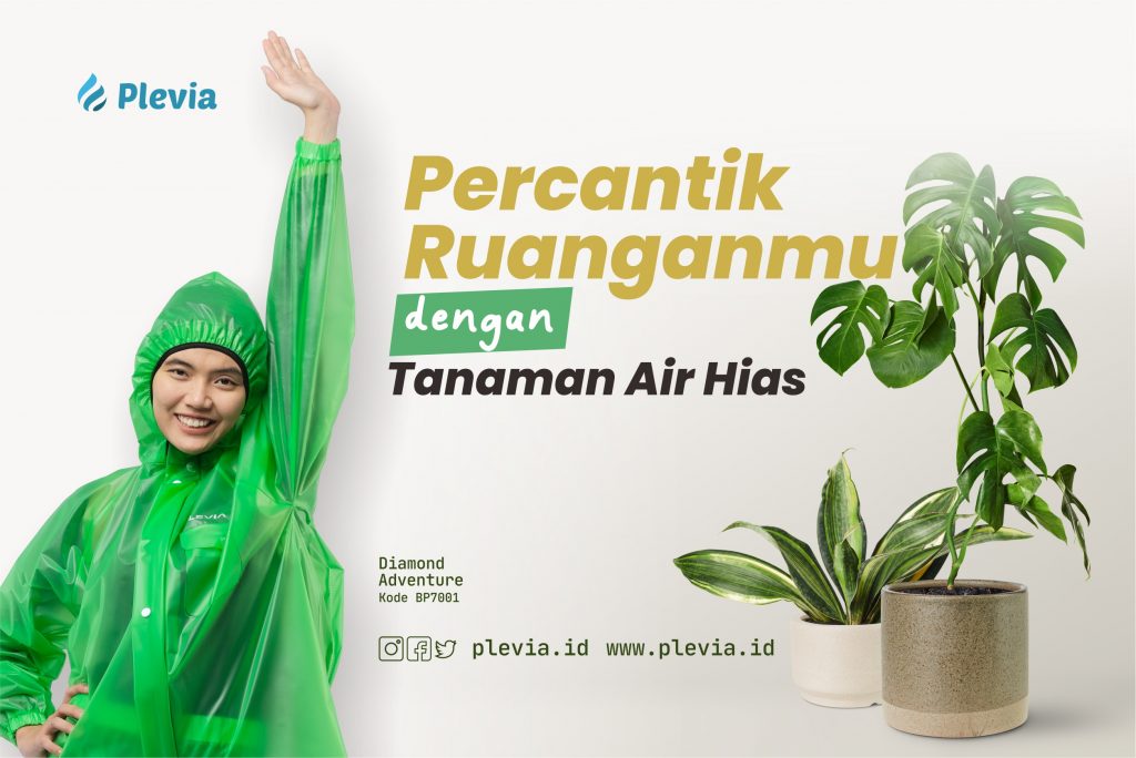 Percantik Ruanganmu dengan Tanaman Air Hias - Plevia Rainwear